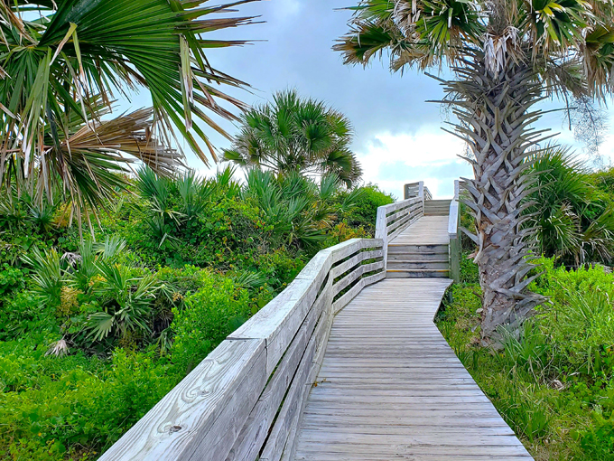 jungle hut park palm coast