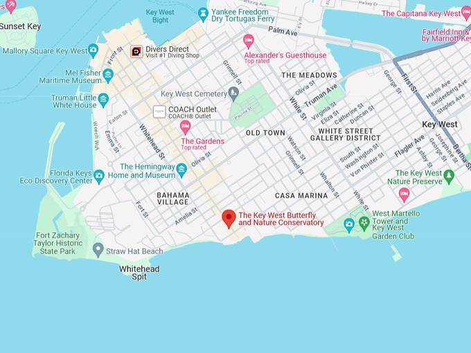 key west butterfly and nature conservatory 10 map