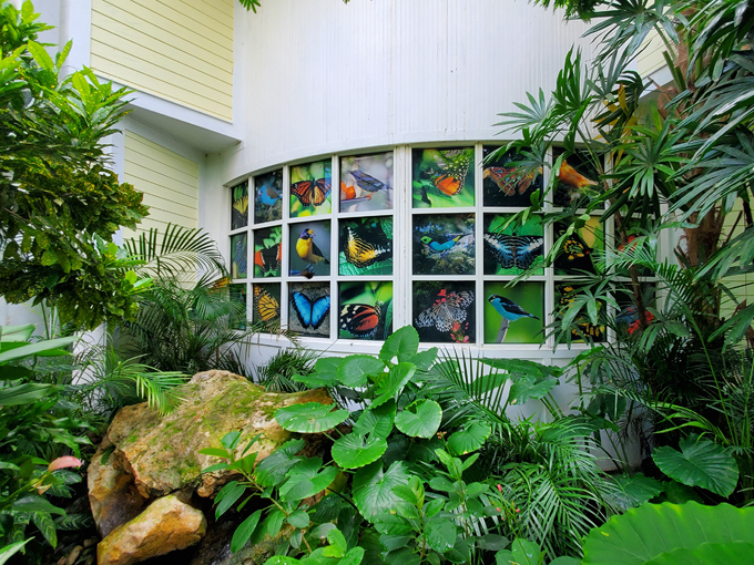 key west butterfly and nature conservatory 2