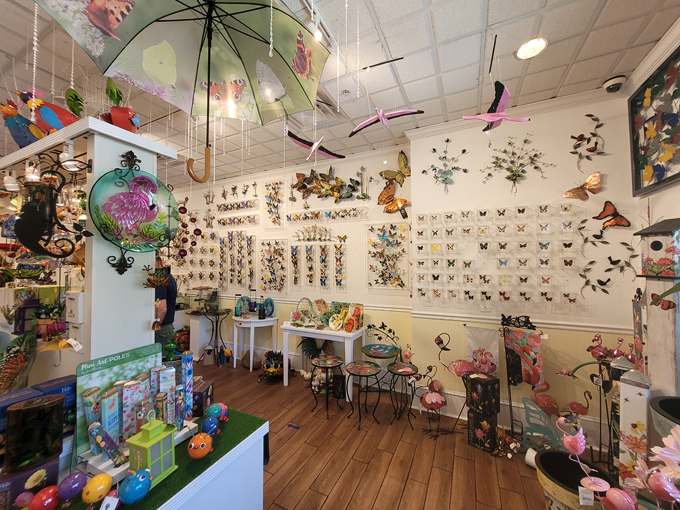 key west butterfly and nature conservatory 9