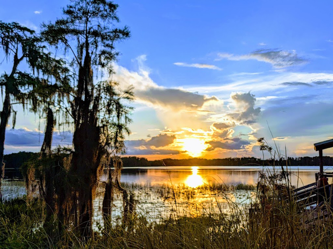 lake louisa state park 8
