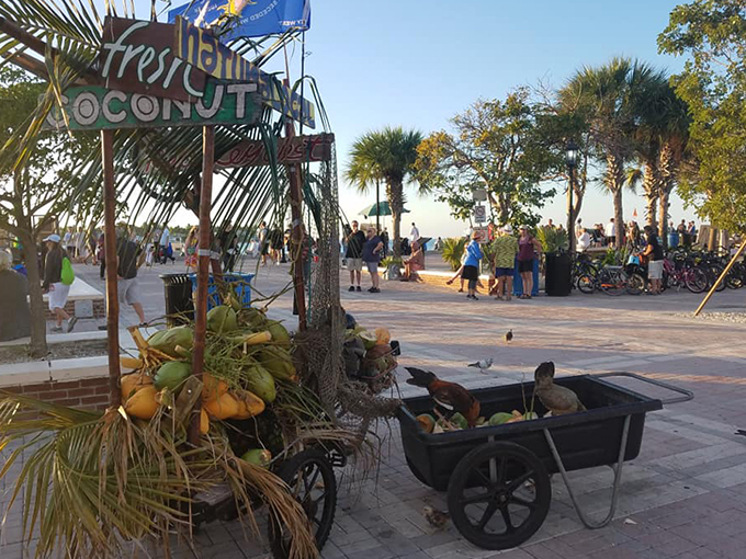mallory square sunset celebration 2