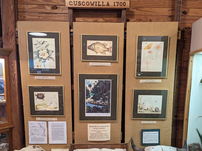 micanopy historical society museum 6