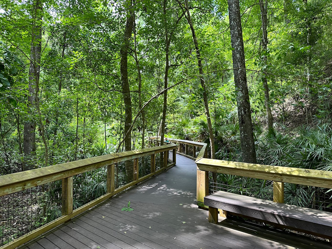 mike roess gold head branch state park 1