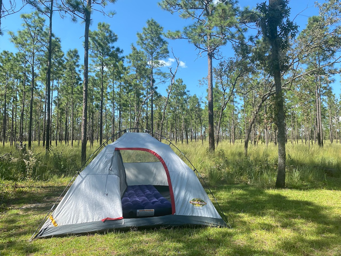 mike roess gold head branch state park 2
