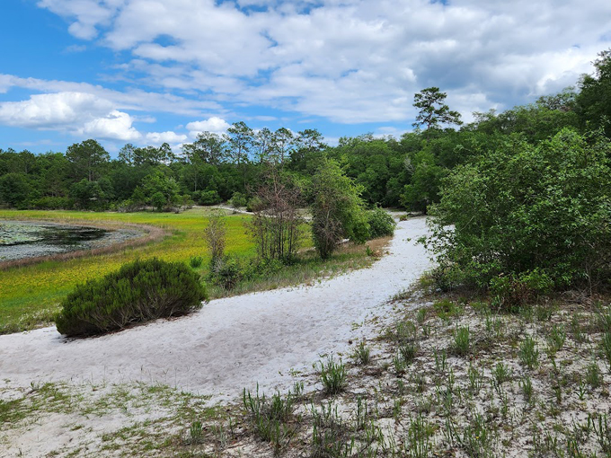 mike roess gold head branch state park 6