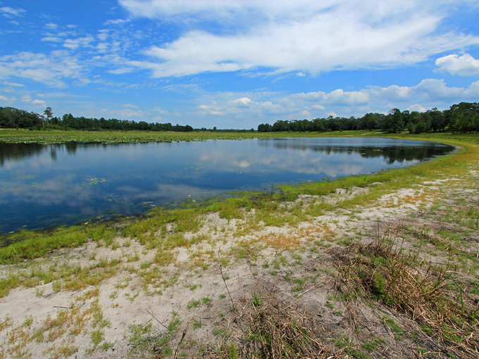 mike roess gold head branch state park 9