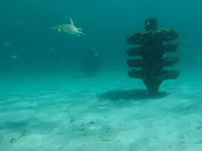 navarre beach marine sanctuary 3