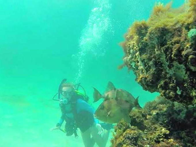 navarre beach marine sanctuary 5