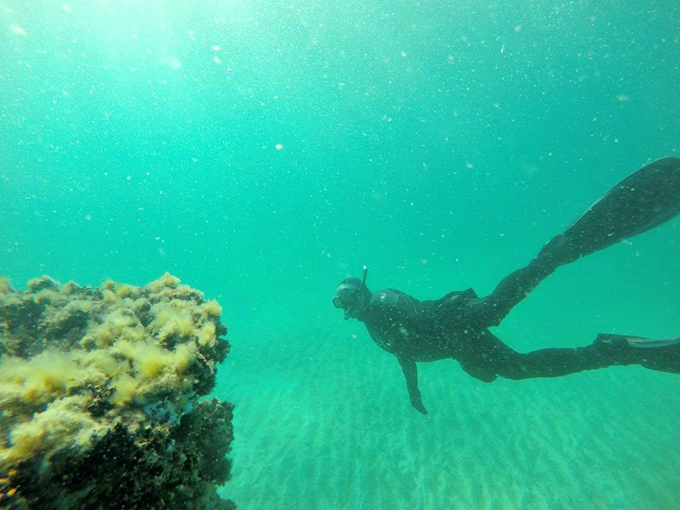 navarre beach marine sanctuary 6