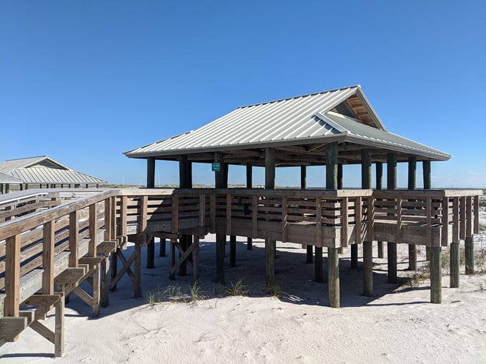 navarre beach marine sanctuary 6