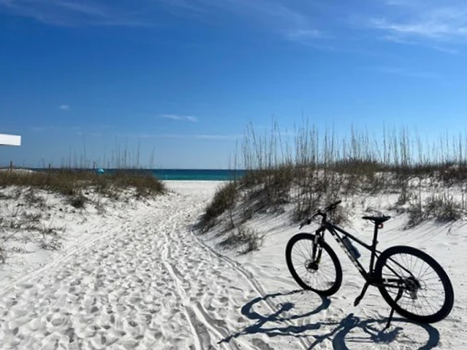 navarre beach marine sanctuary 9
