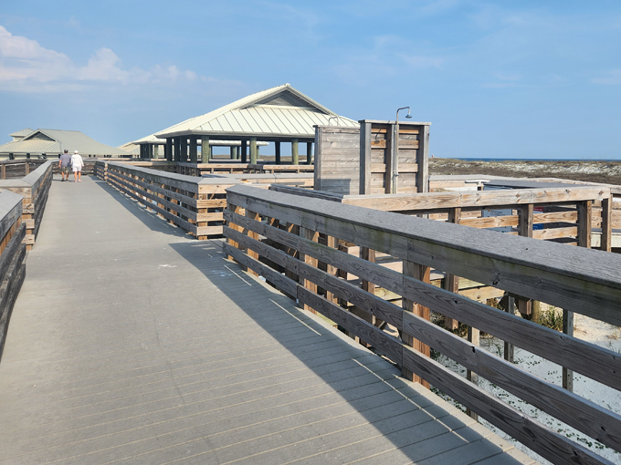 navarre beach marine sanctuary 9