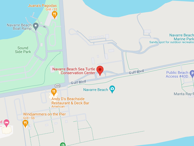 navarre beach sea turtle conservation center 10 map