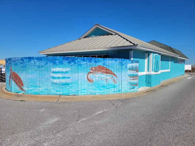 navarre beach sea turtle conservation center 3