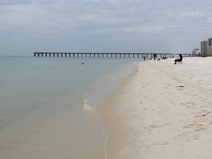 navarre beach sea turtle conservation center 8
