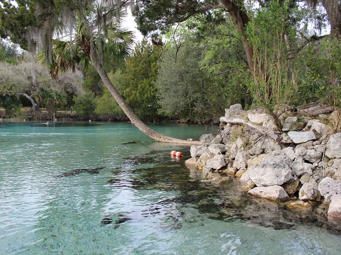 november &mdash; silver glen springs