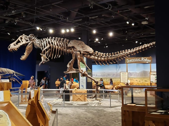 orlando science center 1