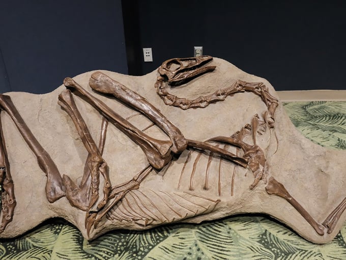 orlando science center 3