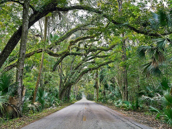 ormond scenic loop trail