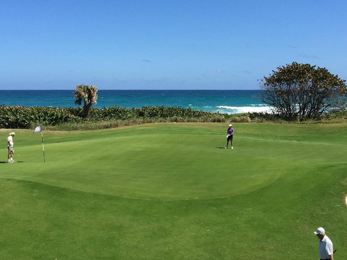 palm coast 3