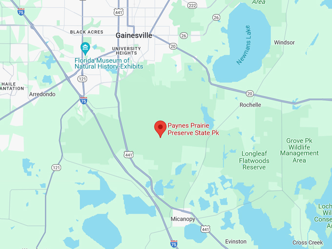 paynes prairie preserve state park 10 map