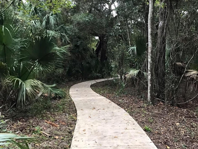 paynes prairie preserve state park 5