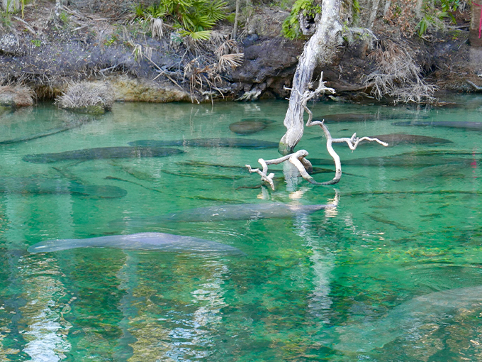 pine island hiking trail 9