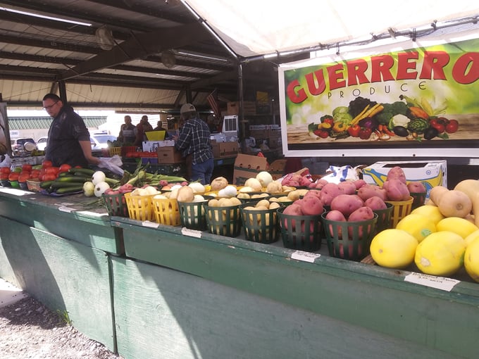 renningers antique center farmers flea market 6