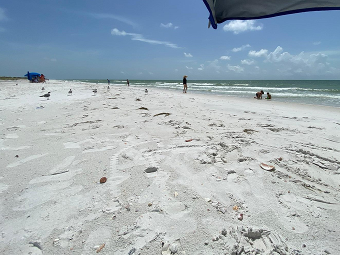 sandy shores supreme