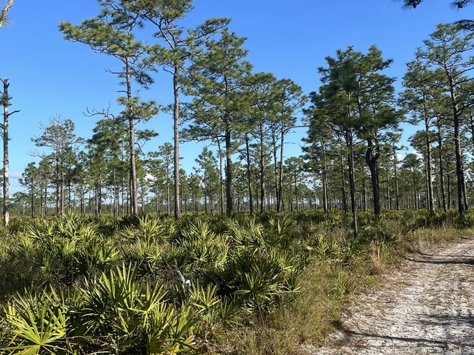 savage christmas creek preserve 1