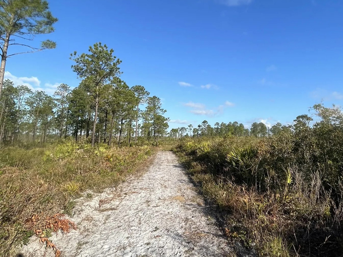 savage christmas creek preserve 2