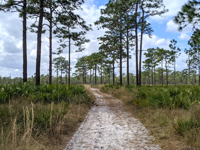 savage christmas creek preserve 3