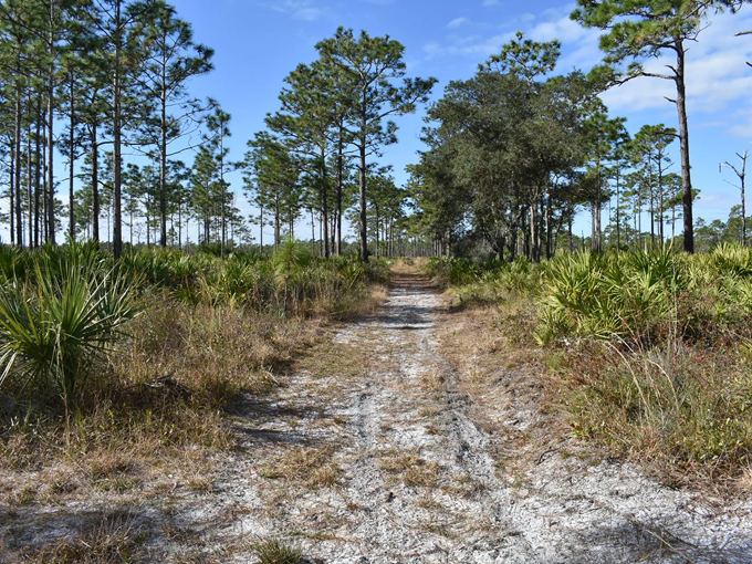savage christmas creek preserve 4
