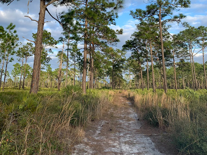 savage christmas creek preserve 5