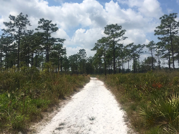 savage christmas creek preserve 9