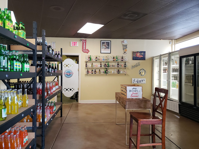 sebring soda ice cream works 4