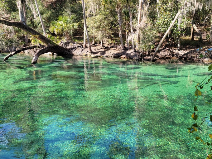 september &mdash; blue spring state park