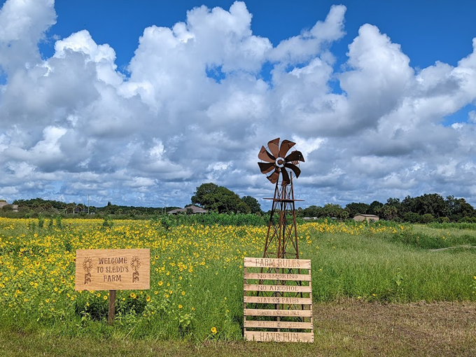 sledds u pick farm 1