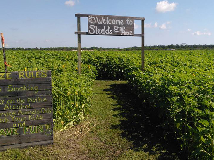 sledds u pick farm 5