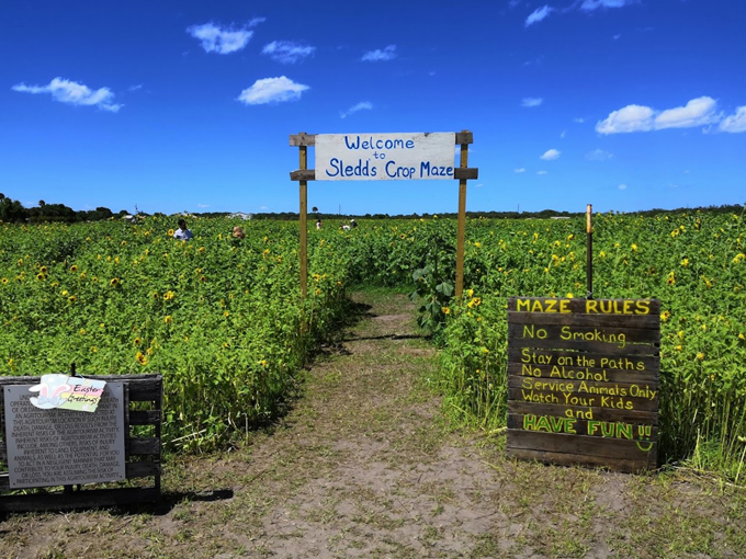sledds u pick farm 7