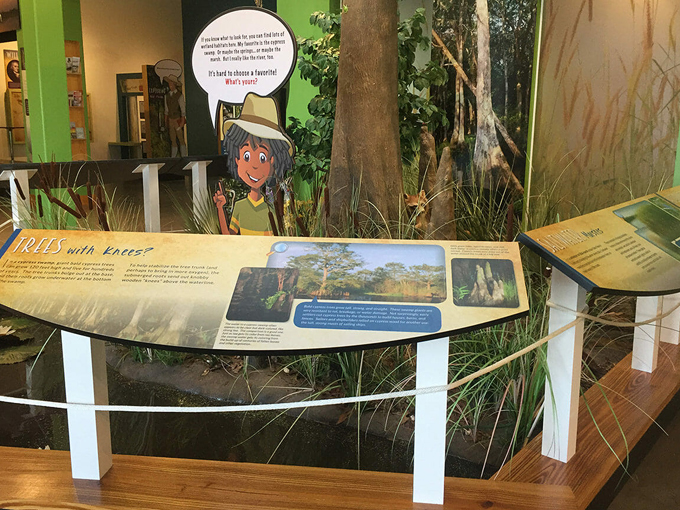 st johns river center 5