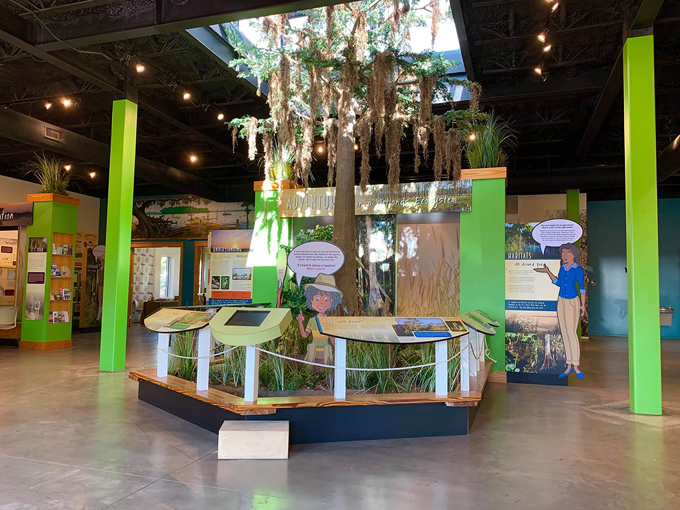 st johns river center 6