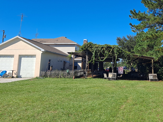 strong tower vineyard winery spring hill 1