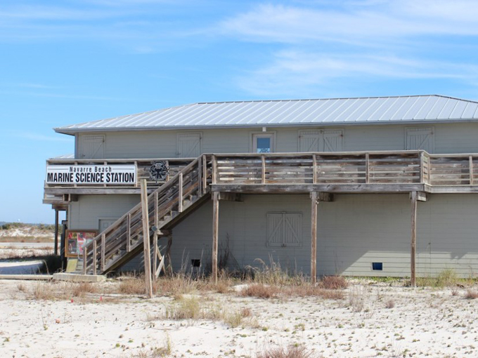 take the kids to the navarre beach marine science station