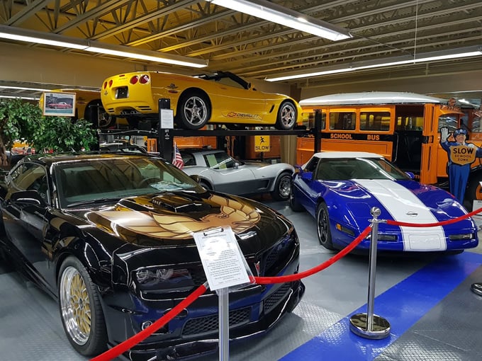 tallahassee automobile museum 8