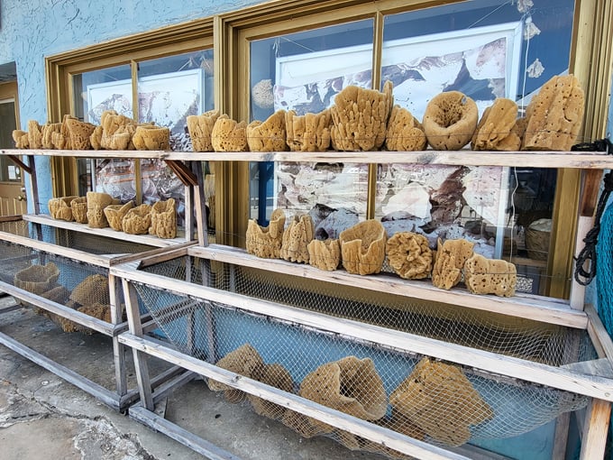 tarpon springs sponge docks 2