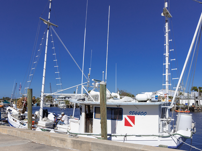 tarpon springs sponge docks 5