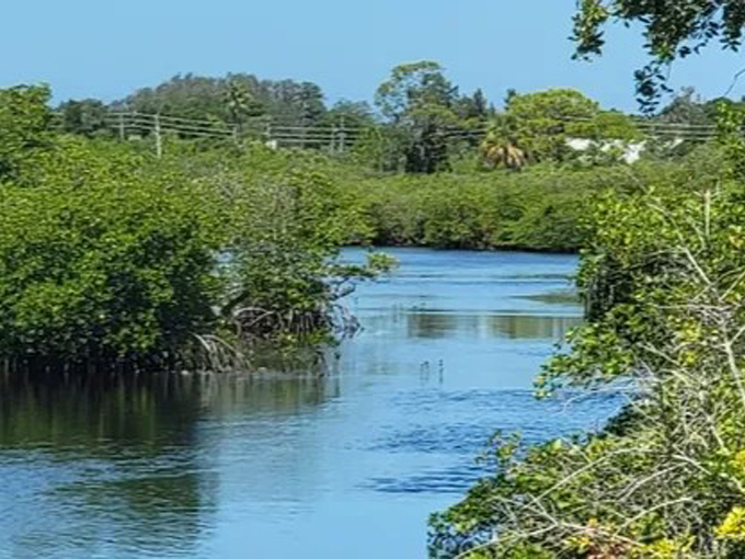 tarpon springs sponge docks 8