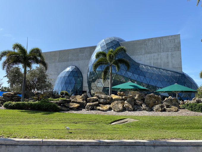 the dali museum 2